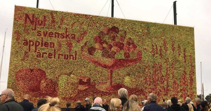 Äppelmarknad i Kivik – lycka för äppelälskare | Allers